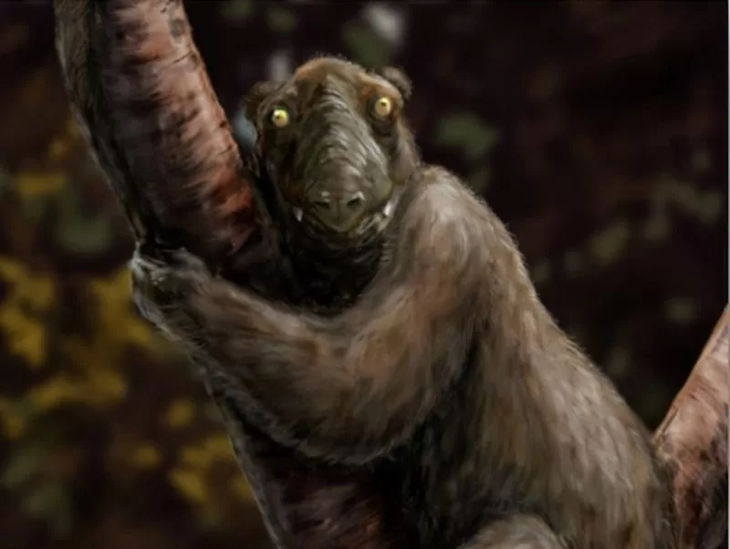 All you need to know about lemurs