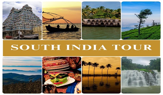 South India Tour - Wild Voyager