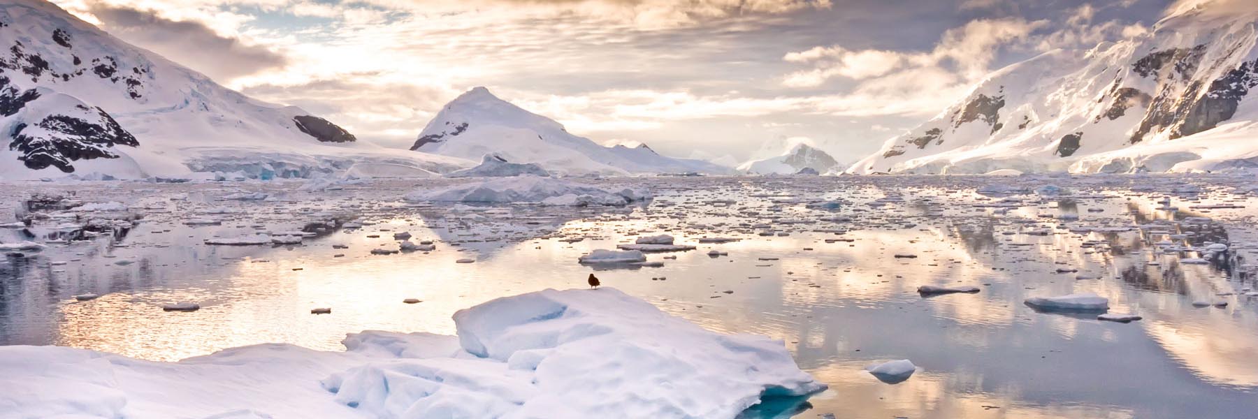 Travel to the polar regions of the Earth | Wild Voyager