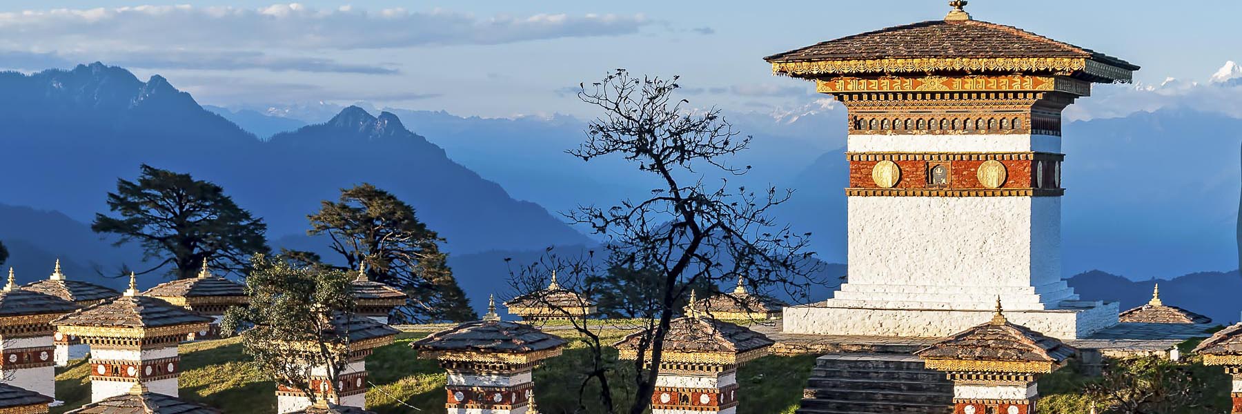 Dochula Pass Tour | Wild Voyager