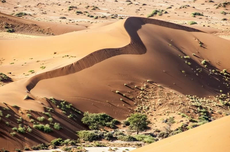 Most famous dunes of Namibia