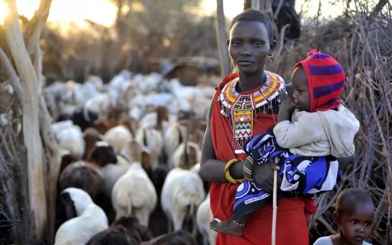 All about the Samburu tribe