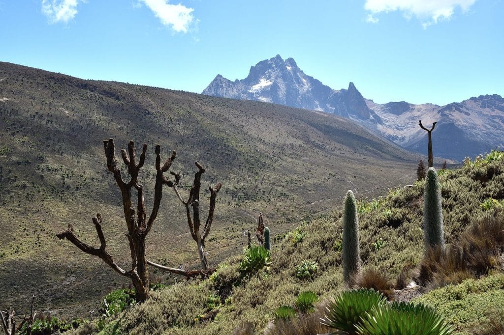 Active Volcanoes of Africa